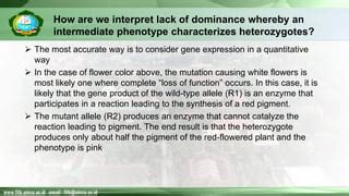 Extensions Of Mendelism Ppt