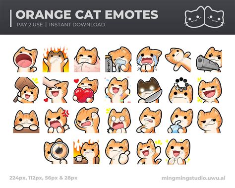 Orange Cat Emotes 26 Cute Cat Emotes For Twitch Andor Discord Ce00200 Etsy