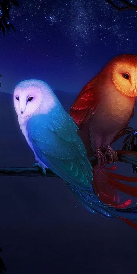 Обои на рабочий стол Сова Животные Птицы 163125 для ПК