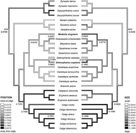 Phylogenetic Trees Showing Ancestral Character State Reconstructions Of