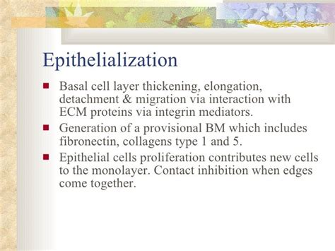 Epithelialization