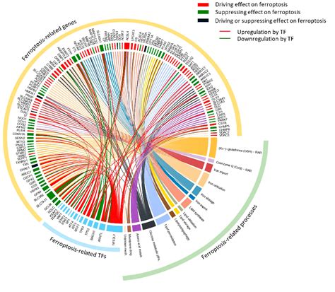 Figure 7 From Targeted Rnaseq Revealed The Gene Expression Signature Of
