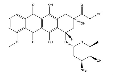 阿霉素doxorubicin的作用机制及在肿瘤与纳米载体研究等领域的应用生物器材网