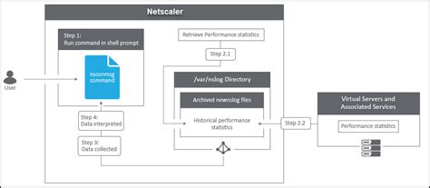 Use Netscaler Console To Troubleshoot Netscaler Cloud Native Networking