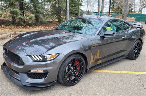 For Sale 2017 Ford Mustang Shelby Gt350r Hr049 Magnetic Metallic