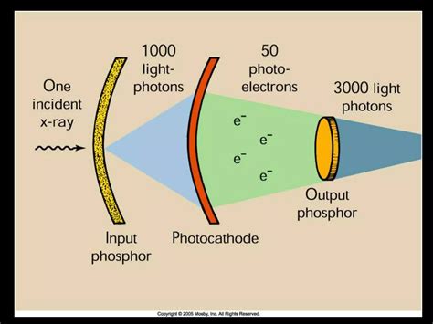 Fluroscopy PPTX Eye And Vision Conditions Diseases And Conditions