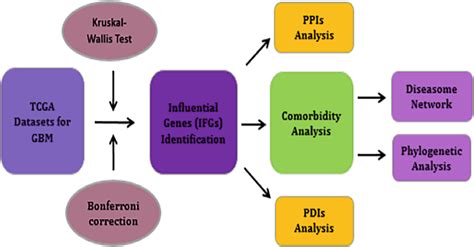 Analytical Approach Of This Investigation Download Scientific Diagram