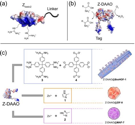 Figure 1 From Combining A Genetically Engineered Oxidase With Hydrogen