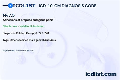 Icd 10 Cm Diagnosis Code N475 Adhesions Of Prepuce And Glans Penis