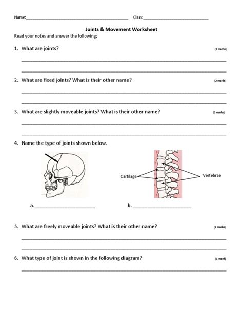 Types Of Joints Worksheet Online Exercise For Live Worksheets