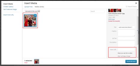 Using Video In Slider And Blog Posts Bucket Wordpress Theme
