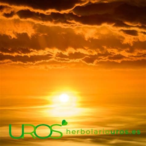 Vitamina D ¿para Qué Sirve Descubre Sus Beneficios