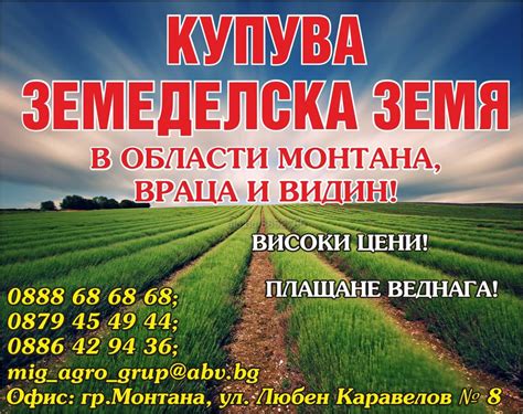 Купувам земя във Видин Купува имоти Видин Купувам земя в Видин и цялата Видинска облас