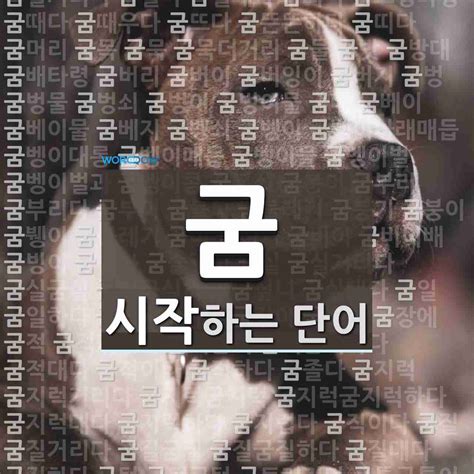 굼으로 시작하는 단어는 132개