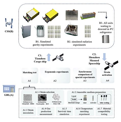 China Exoplanet Habitability And Ecosystem Space Experiment Astrobiology