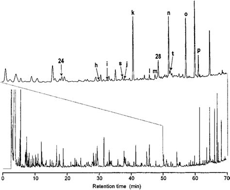 Typical Pyrogram Of Acetylated Extractive Free Sample Of E