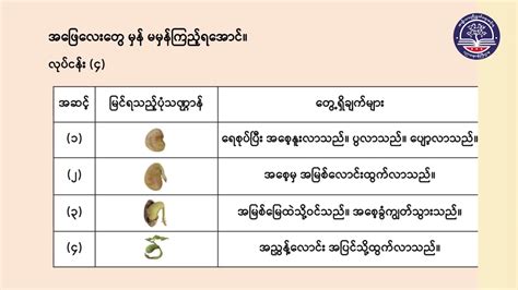 Grade 4 သိပ္ပံ၊ အခန်း ၁ အပိုင်း ၂ Youtube