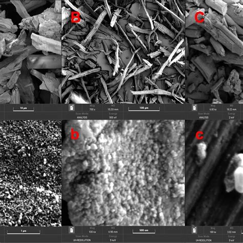 Fe Sem Micrographs Of Cellulose Ii Nanocrystals Prepared By Different