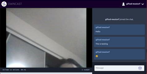 height of chat sidebar overflows · issue 2503 · owncast owncast · github