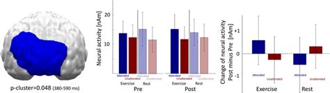 Left Topography Back View Of The Spatiotemporal Cluster Showing A