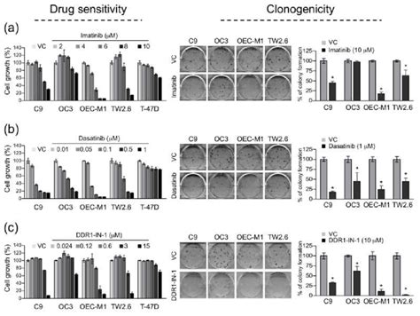 Ddr1 Kinase Inhibitors Suppressed Oscc Cell Growth And Clonogenicity