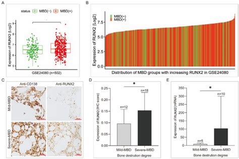 Runx2 Promotes The Suppression Of Osteoblast Function And Enhancement Of Osteoclast Activity By
