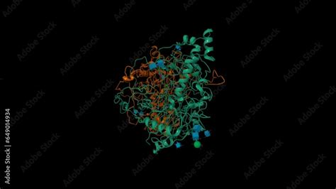 Native Structure Of Soluble Human Primary Amine Oxidase Aoc3 Animated 3d Cartoon And Gaussian