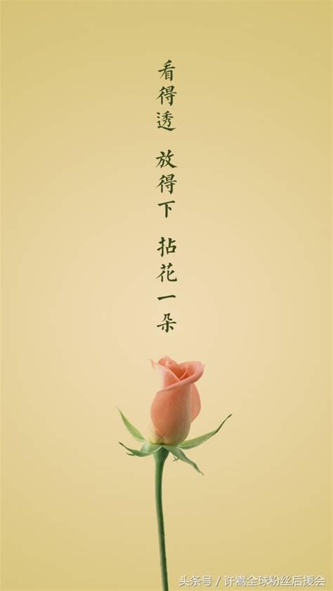 許嵩 歌詞壁紙 喜歡就拿去吧 每日頭條