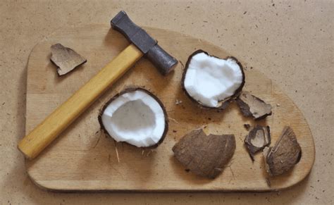 Como abrir coco seco formas práticas e diferentes que vão te ajudar
