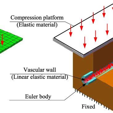 The Coupled Finite Element Model Download Scientific Diagram