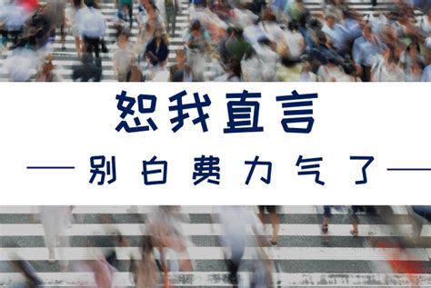 恕我直言别白费力气了