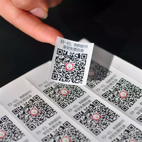 사용자 정의 Qr 코드 스티커 로고 인쇄