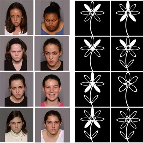Experimental And Control Cognitive Bias Modification Of Attention Download Scientific Diagram