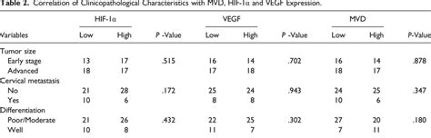 Correlation Of Clinicopathological Characteristics With Mvd Hif 1α And