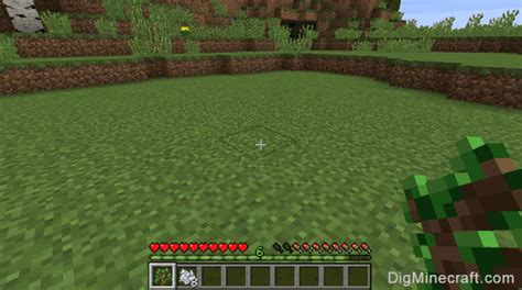 How To Grow A Tree In Minecraft