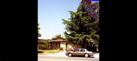 What A Reserach Ivan Beck Its Marvin Government Funding 3 R Kanepixelsbackrooms