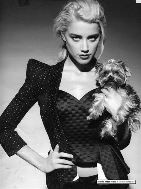 Vanity Fair Amber Heard Photo Fanpop