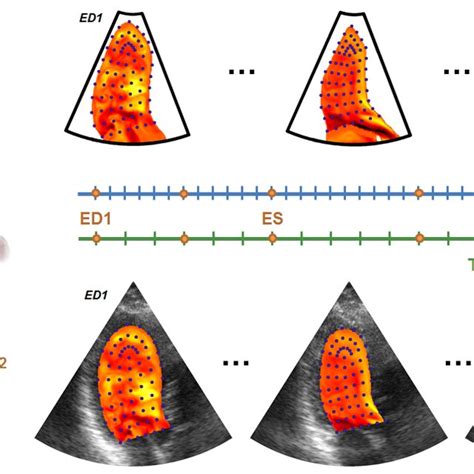 Illustration Of The Spatio Temporal Alignment Used To Register The Flow Download Scientific