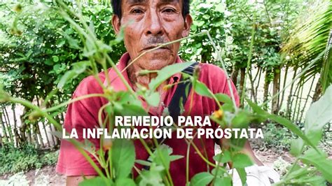Remedio Para La Inflamaci N De La Pr Stata Youtube