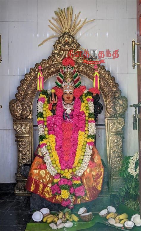 Temple உலகபாளையத்தில் மகா மாரியம்மன் ஓங்காளியம்மன் கோவில் திருவிழா