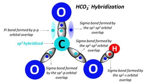 Hco3 Lewis Structure Molecular Geometry Bond Angle Hybridization