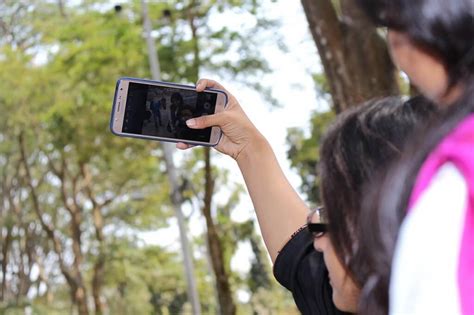 สอนเขียน App มือถือ สร้างแอพ Android Ai จำแนกรูปภาพ Image