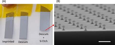 Roll To Roll Reactive Ion Etching Of Large Area Nanostructure Arrays In Si Process Development