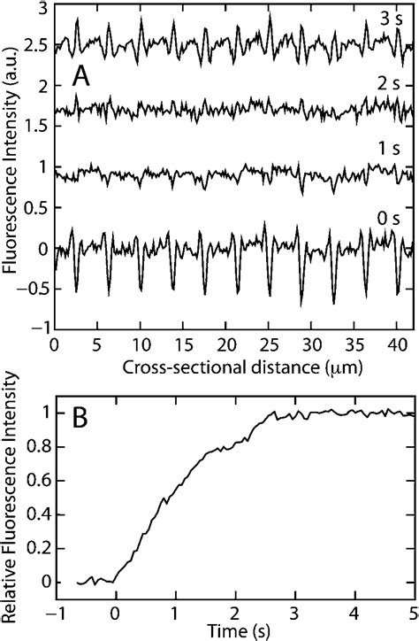 A Fluorescence Intensity Profile Across The Array Of 200 Â 150 Nm 2 Download Scientific