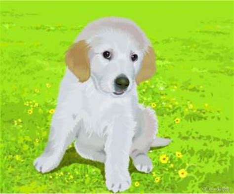 Java学习(超详细)五(类、对象、方法)java中类方法函数对象 Csdn博客 Java学习(超详细)五(类、对象、方法)java中类方法函数对象 Csdn博客