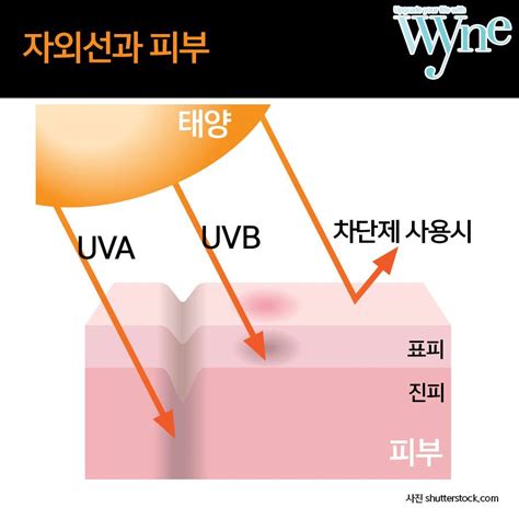 보스피부과 자외선 차단제에 대한 모든 것 2편 자외선 차단제에 적혀있는 표기들은 정확히 무슨