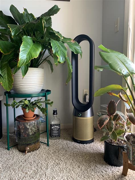 Loving My Dyson TP R Dyson