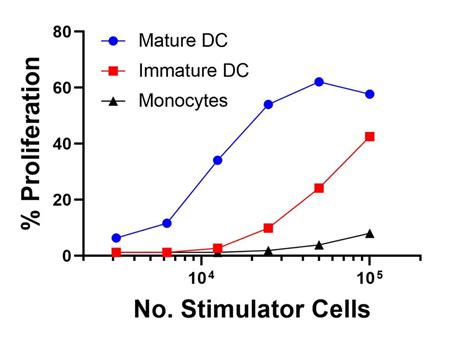 Mlr As A Model For In Vitro T Cell Response Ignyte Bio