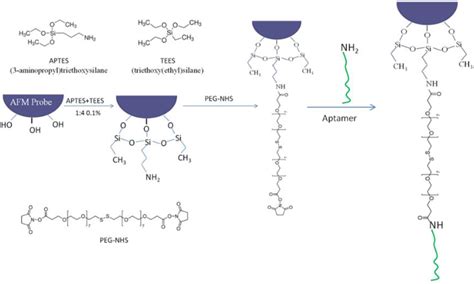 Biosensors Special Issue Label Free Biosensors Exploring The Field