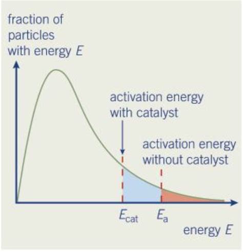 Physical Chemistry Enthalpy Collision Theory And Equilibrium Flashcards Quizlet